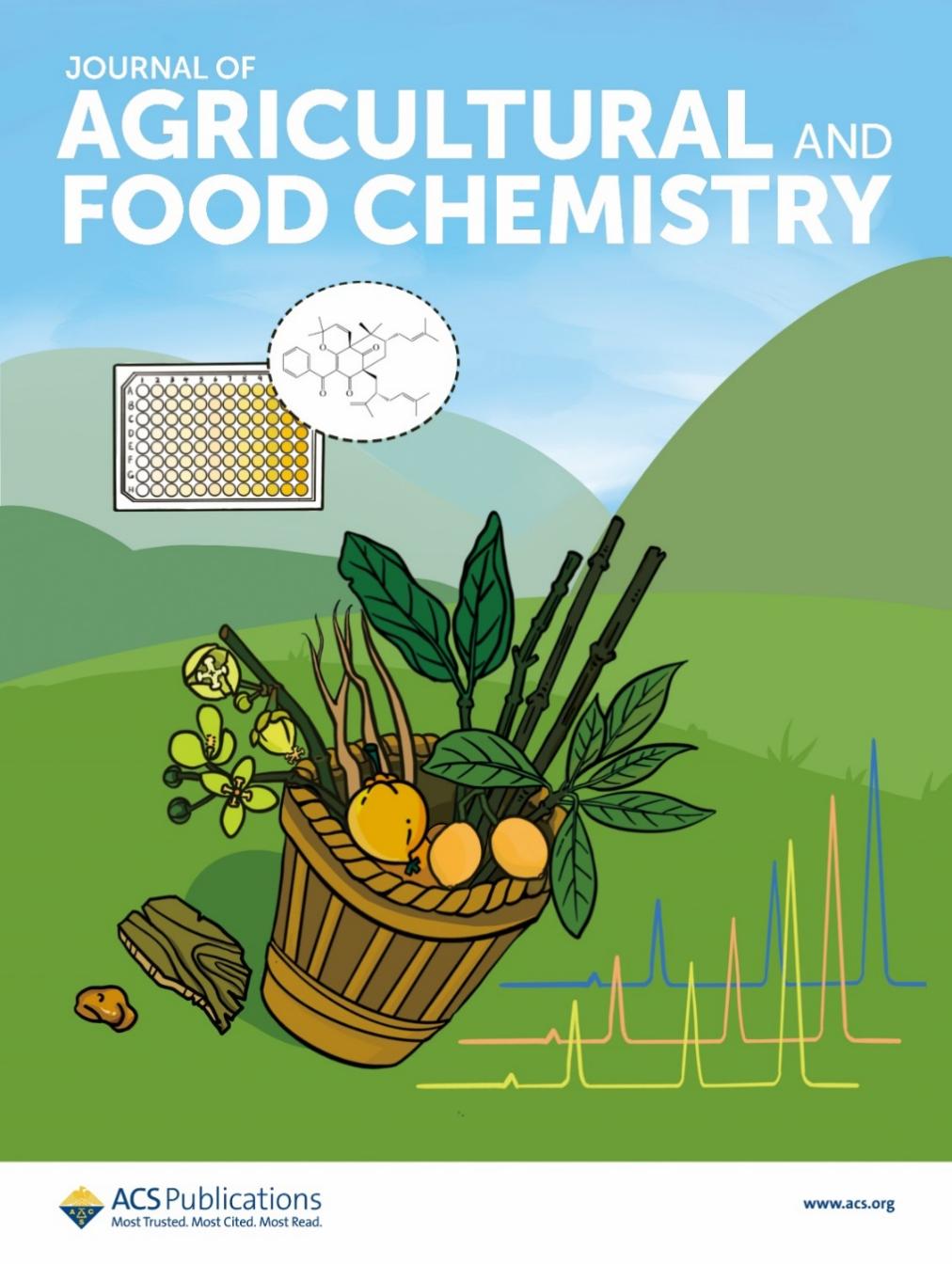 封面论文：JAFC期刊再次报道民族植物学团队藤黄属植物研究成果-民族地区生态环境实验室